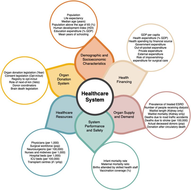 post mortem body donation