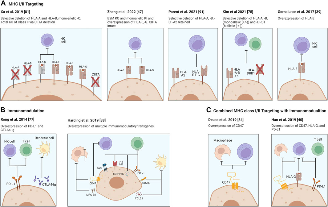 Frontiers Publishing Partnerships | Genetic Engineering of Immune ...