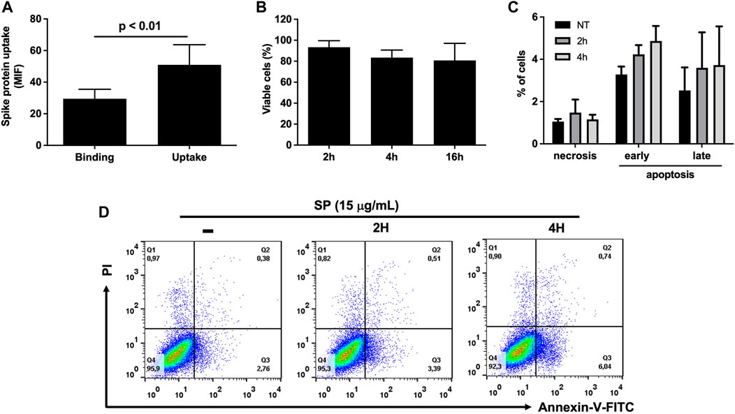Frontiers Publishing Partnerships | SARS-CoV-2 spike protein increases ...