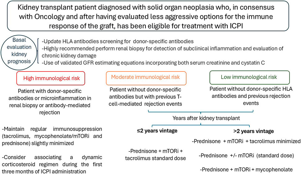 Frontiers Publishing Partnerships | Immunotherapy for Cancer in Kidney Transplant Patients: A ...