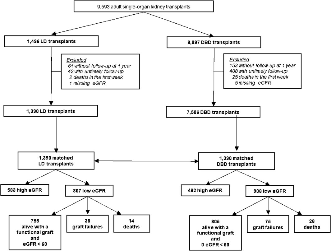 Frontiers Publishing Partnerships | Comparison of Kidney Graft Function ...