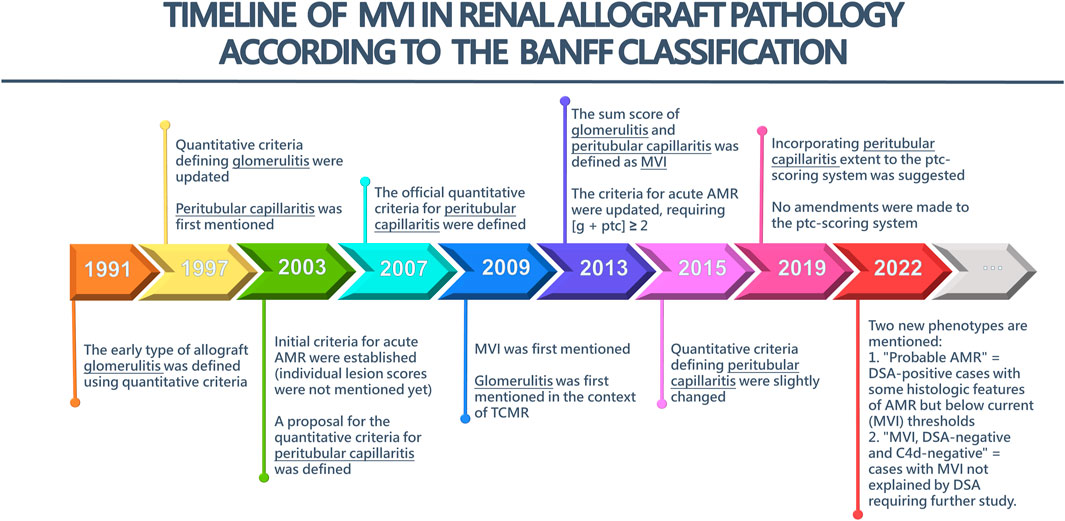 Frontiers Publishing Partnerships | Expanding the Scope of ...