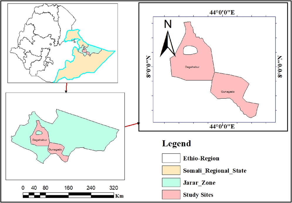 Frontiers Publishing Partnerships | Seroprevalence of camelpox and its ...
