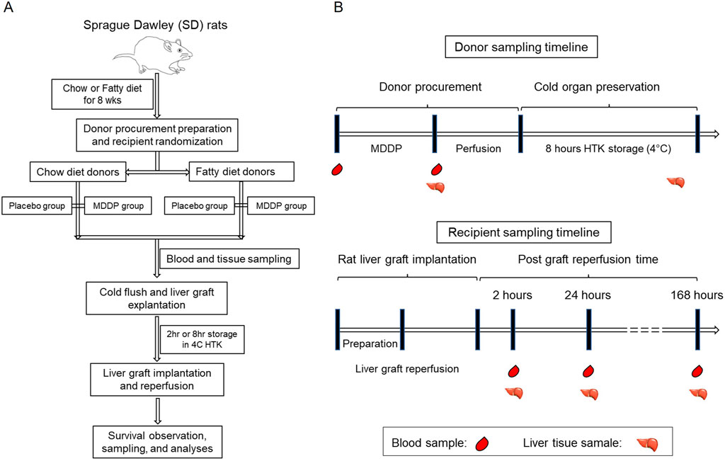 Frontiers Publishing Partnerships | A Multidrug Donor Preconditioning ...