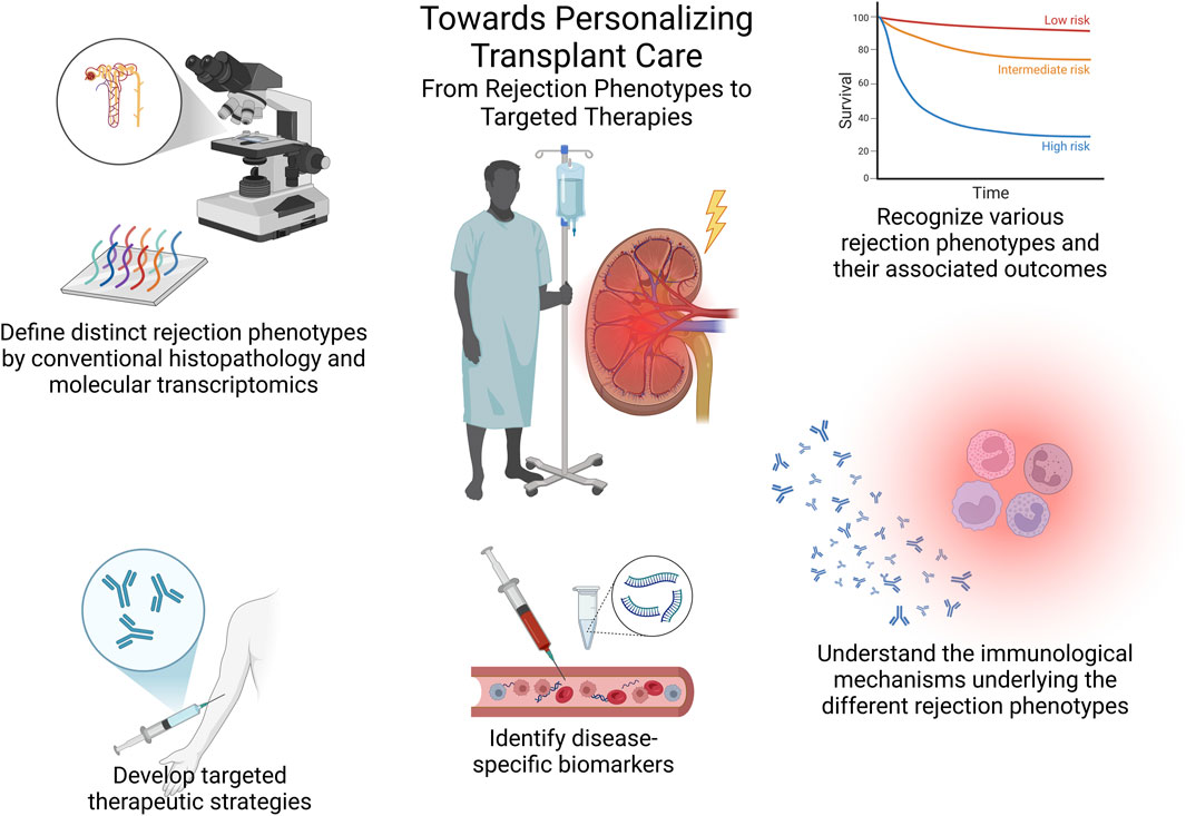 Frontiers Publishing Partnerships | Shedding Light on Microvascular ...